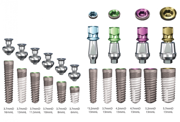 Sponsors San Jose CA, Northern California Association of Vietnamese ...